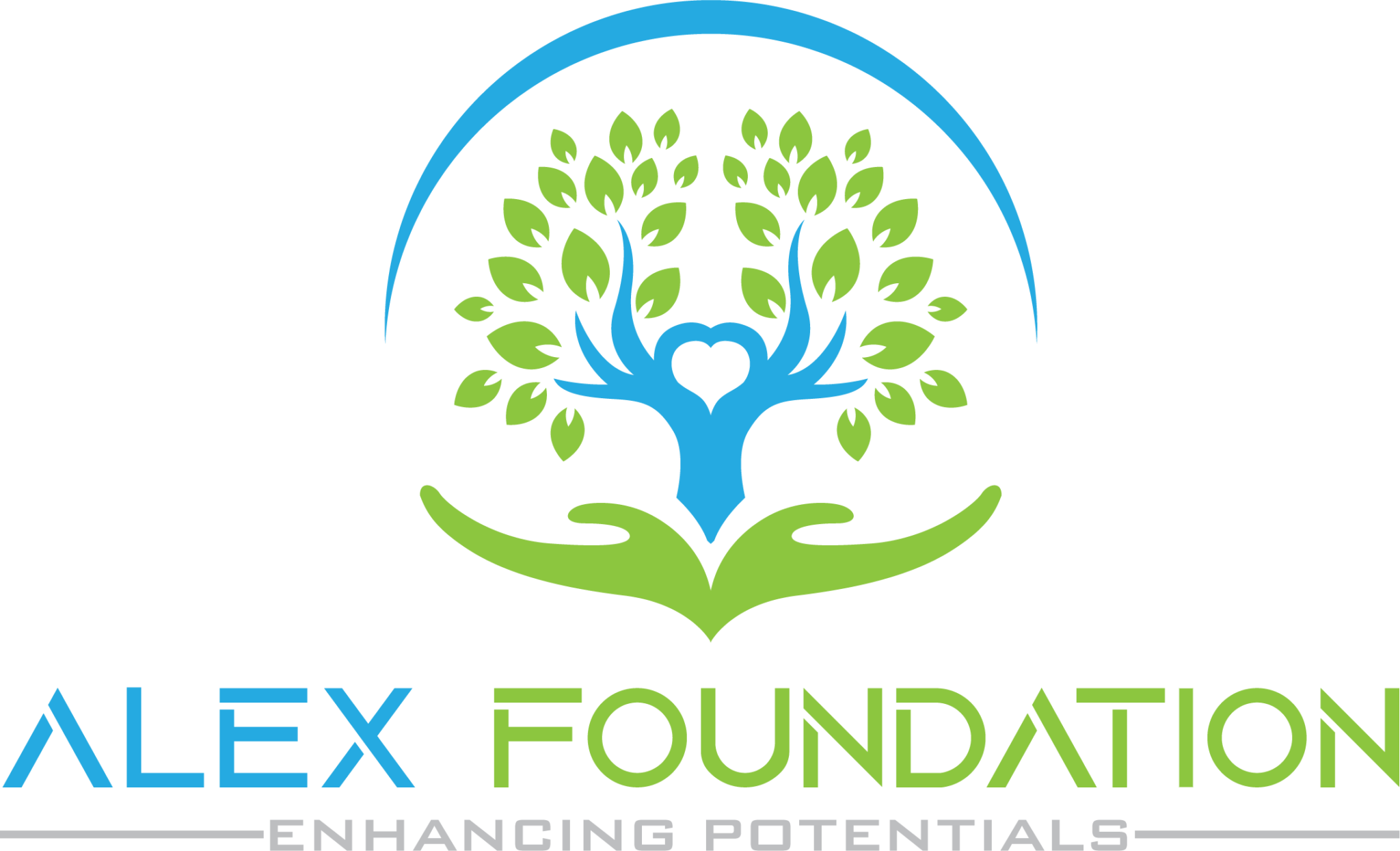 Alex foundation